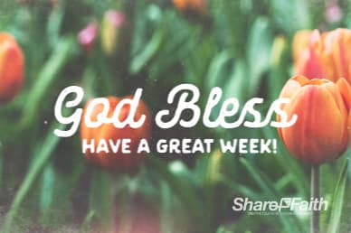 ShareFaith Media » Spring Forward Tulip Church PowerPoint – ShareFaith ...