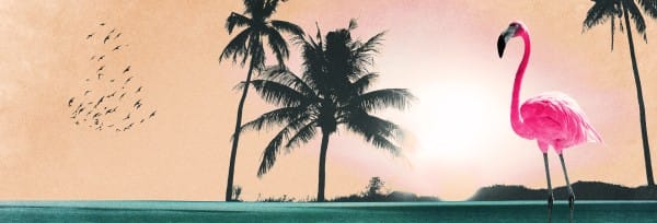 ShareFaith Media » Summer Playlist Background Motion Graphic ...