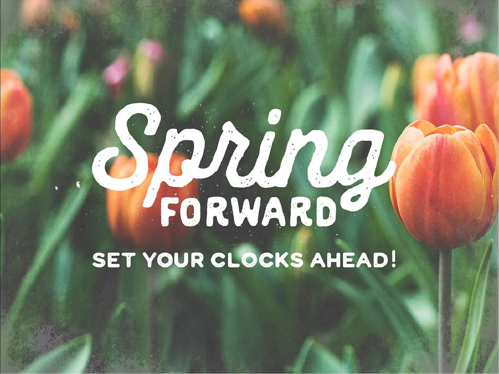 ShareFaith Media » Spring Forward Tulip Countdown Video – ShareFaith Media