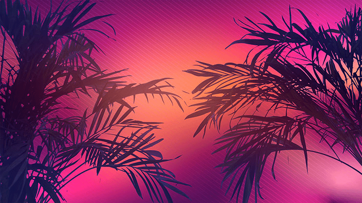 ShareFaith Media » Sun Palms Collection: Welcome – ShareFaith Media