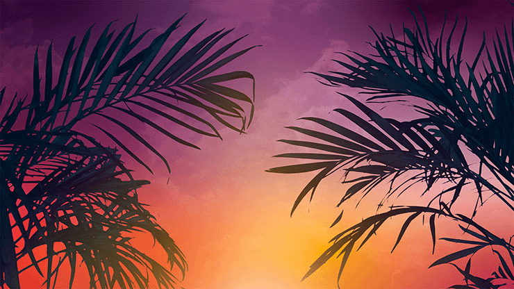 ShareFaith Media » Sun Palms Collection: Welcome – ShareFaith Media