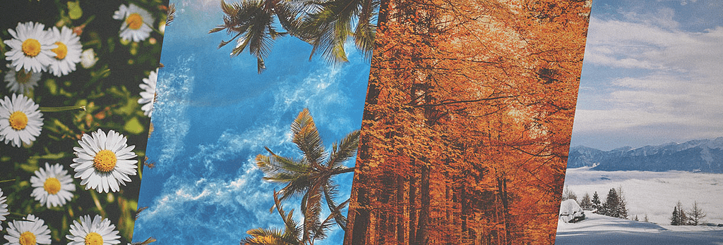 For Every Season Collection: Title Graphics – ShareFaith Media