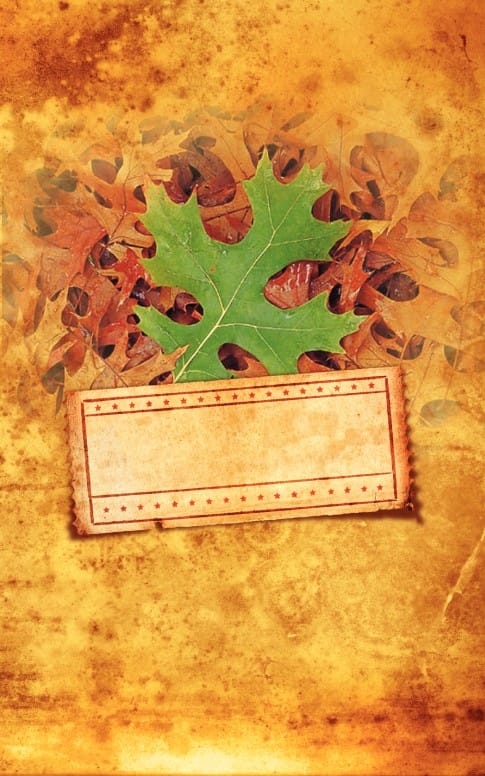 Fall Leaf Pile Bulletin Cover – ShareFaith Media