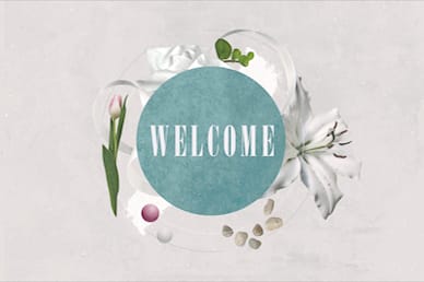 Easter Sunday Lily Welcome Motion Graphic – ShareFaith Media