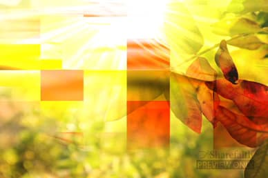 Creation Background Video – ShareFaith Media