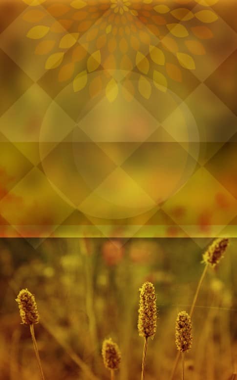 Wheat Church Bulletin Cover – ShareFaith Media