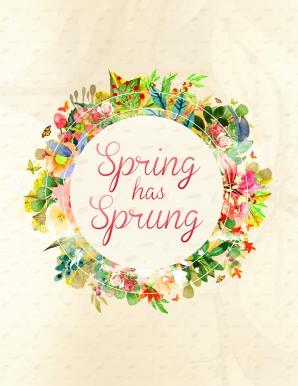 Spring Has Sprung Church Flyer – ShareFaith Media