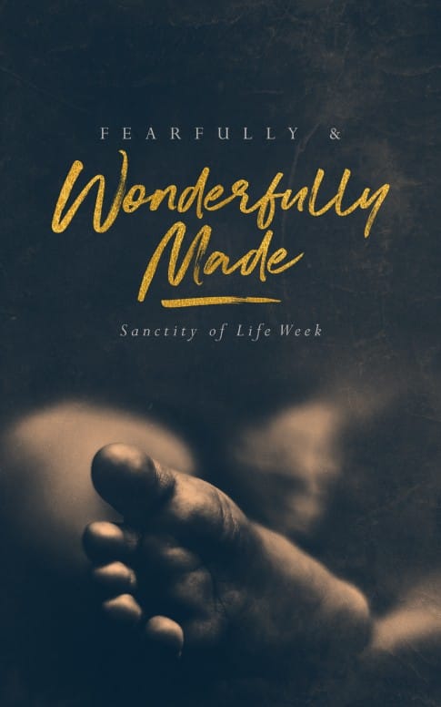 Fearfully & Wonderfully Made Church Bulletin – ShareFaith Media