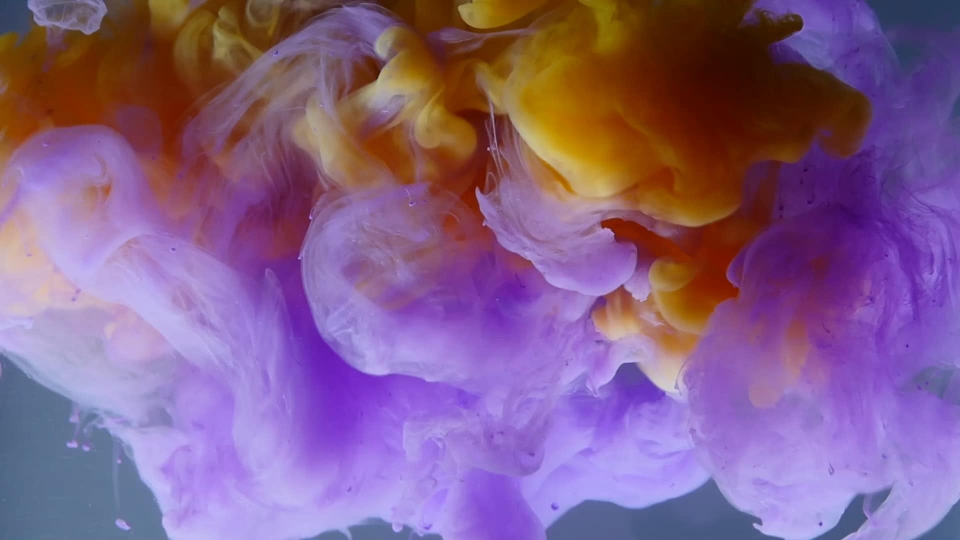 ShareFaith Media » Color Splash Worship Background 26 – ShareFaith Media