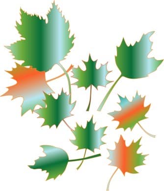ShareFaith Media » Gradient Style Maple Leaves – ShareFaith Media