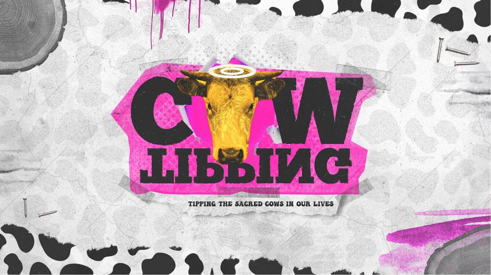 Cow Tipping Title Graphics – ShareFaith Media