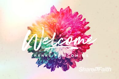 ShareFaith Media » Women’s Bible Study Welcome Video – ShareFaith Media
