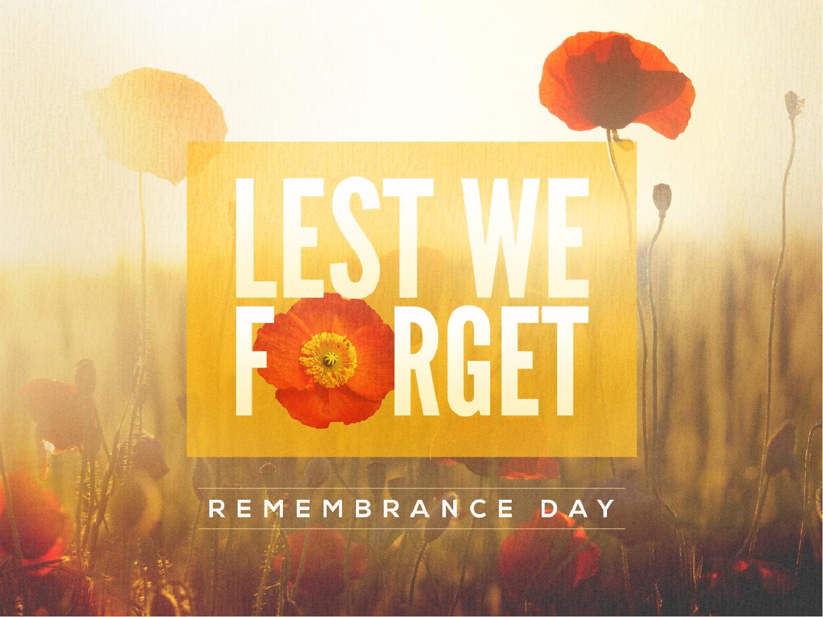 ShareFaith Media » Lest We Forget Poppy Powerpoint – ShareFaith Media