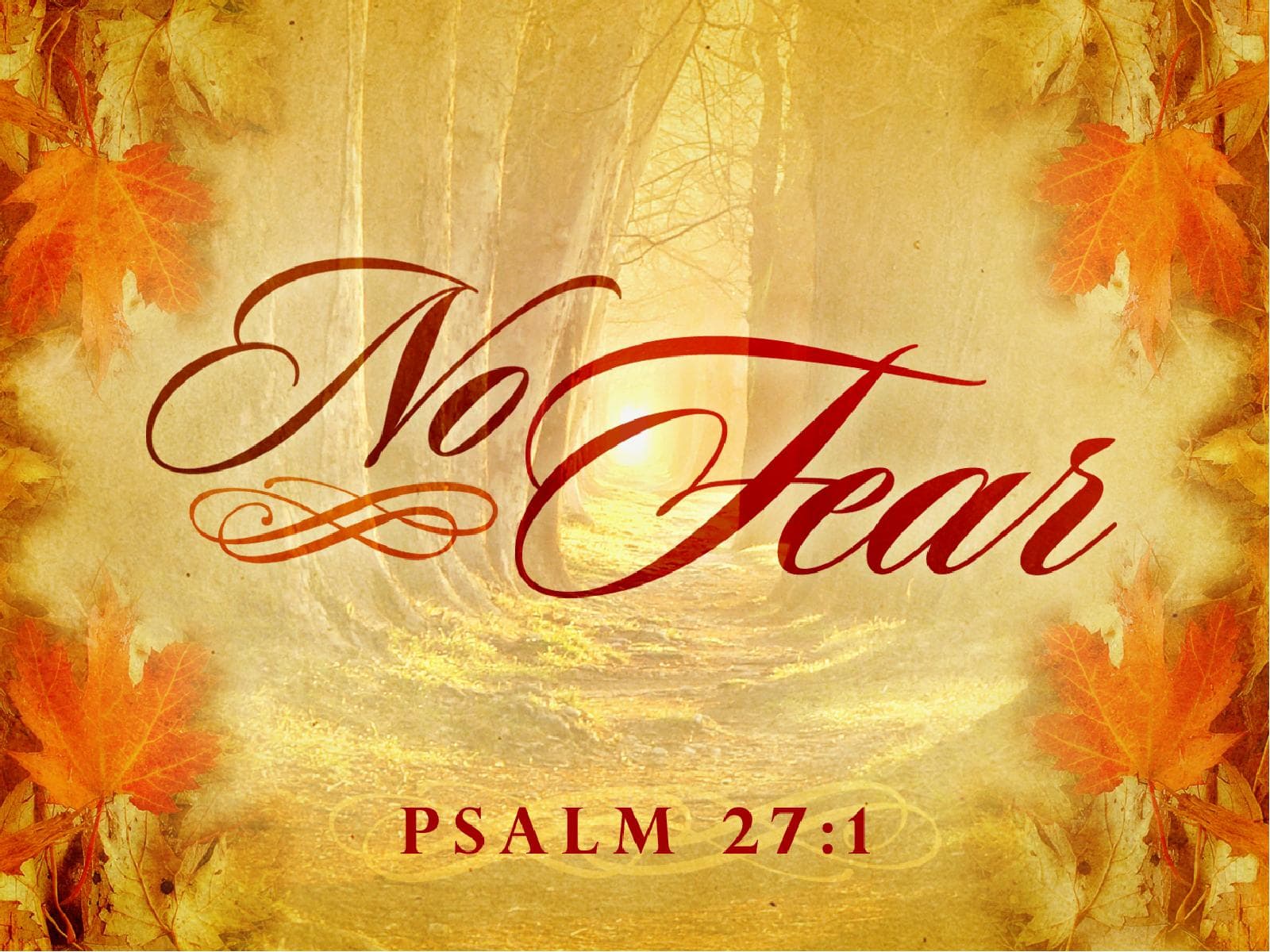 ShareFaith Media » No Fear PowerPoint Presentation – ShareFaith Media