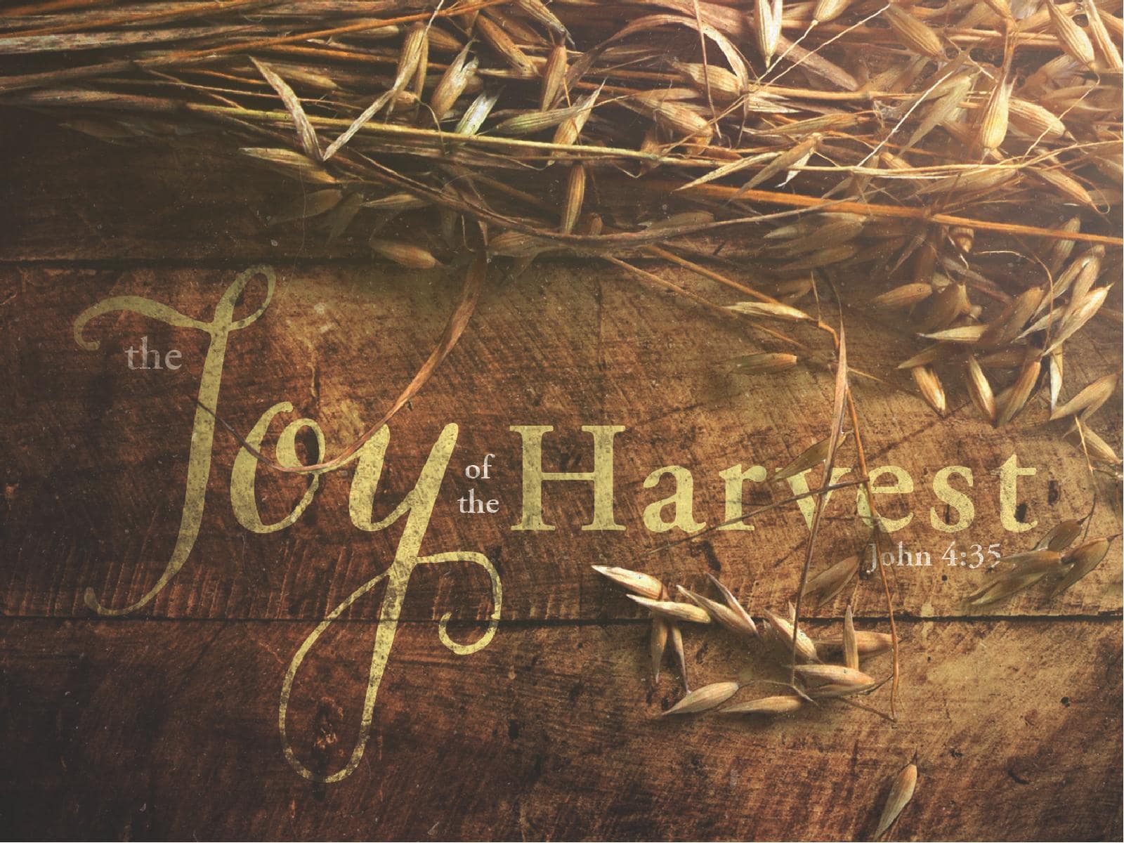 ShareFaith Media » Joy of Harvest Ministry PowerPoint – ShareFaith Media