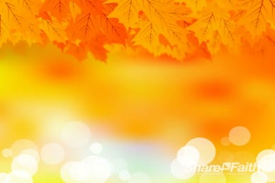 ShareFaith Media » Free Fall Worship Video Background – ShareFaith Media