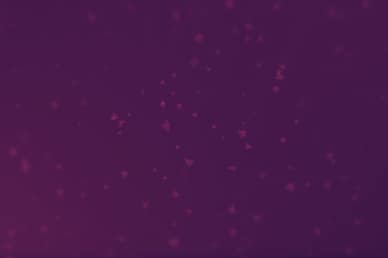 ShareFaith Media » Worship Triangles Monotone Purple Video Loop ...