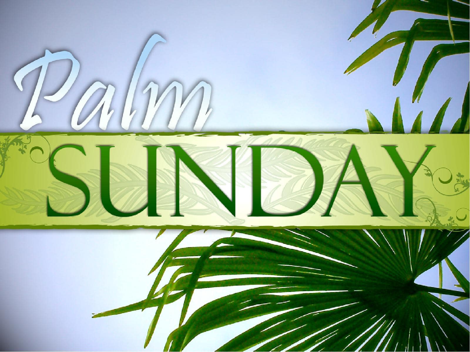 ShareFaith Media » Palm Sunday with Blue Sky – ShareFaith Media