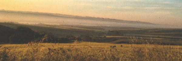 ShareFaith Media » Authentic: A Study in the Book of James Website ...