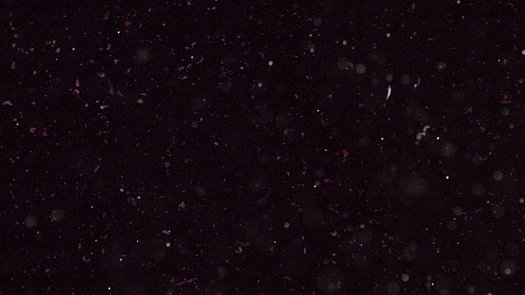 ShareFaith Media » all/goal