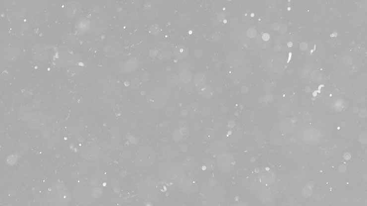 ShareFaith Media » all/goal