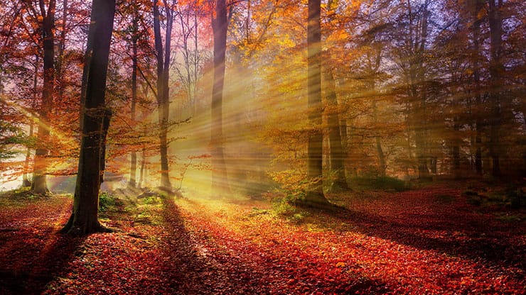 ShareFaith Media » Autumn Light Collection: Autumn Light Live Stream ...