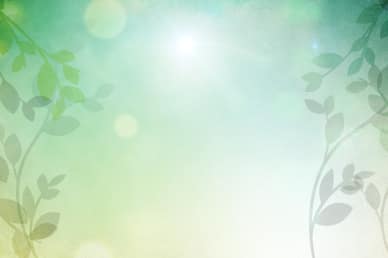 ShareFaith Media » Spring Video – ShareFaith Media