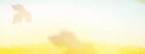 ShareFaith Media » Fall Back Time Worship Multiscreen Motion Loop ...