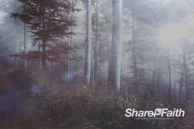 ShareFaith Media » Misty Forest Worship Motion Loop – ShareFaith Media
