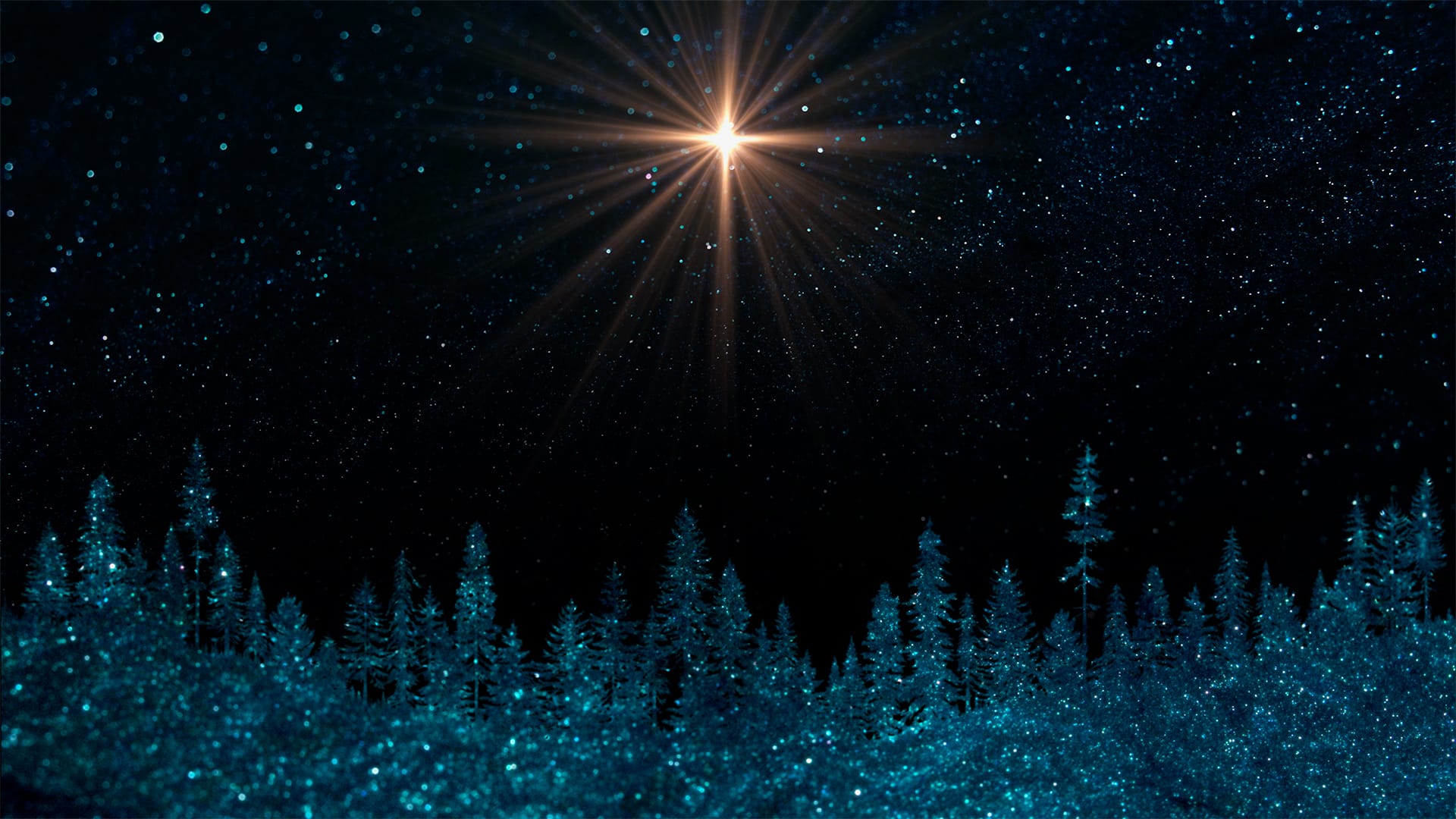 ShareFaith Media » Sparkling Christmas Collection: Motion Background 2 ...