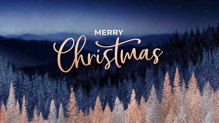 ShareFaith Media » Sparkling Trees Collection: Sparkling Trees Merry ...